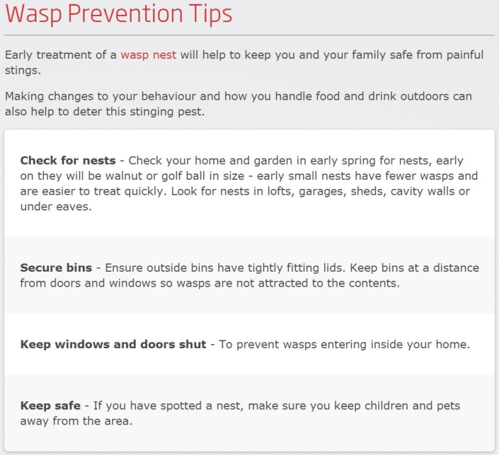 Go Green Pest Control | Wasp Prevention Tips